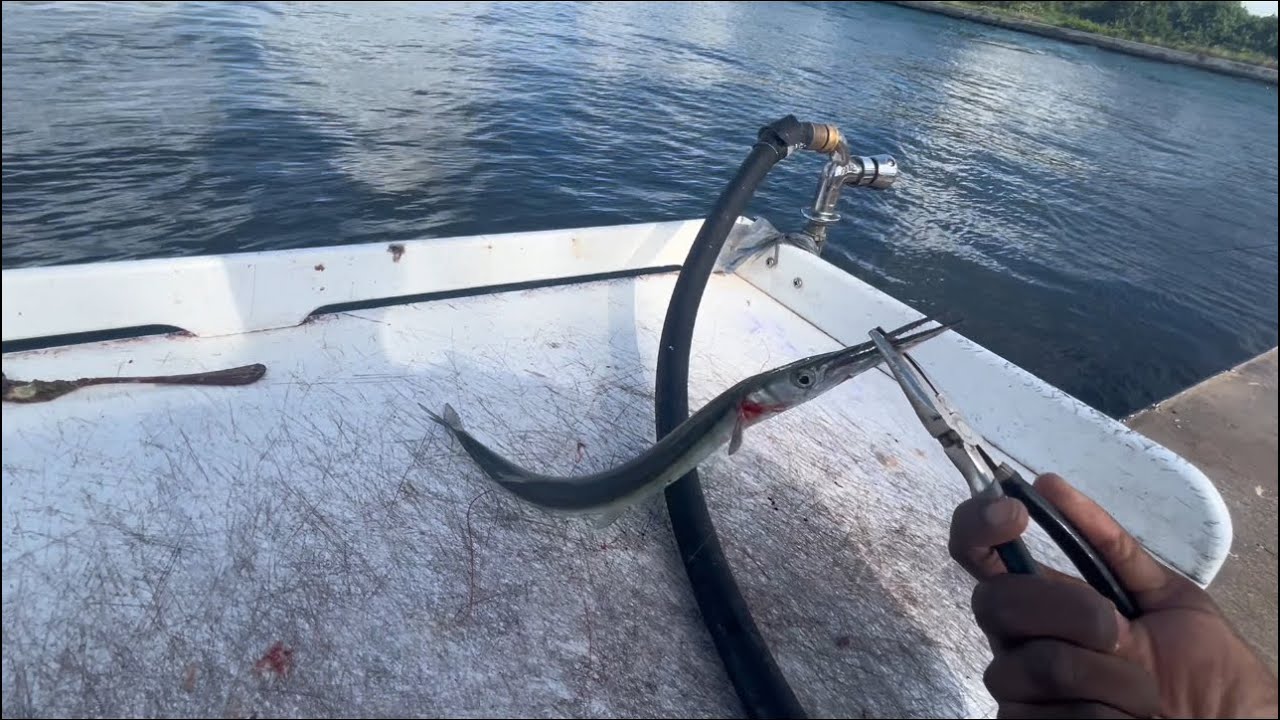 Catching My First Saltwater Fish 🎣 - YouTube