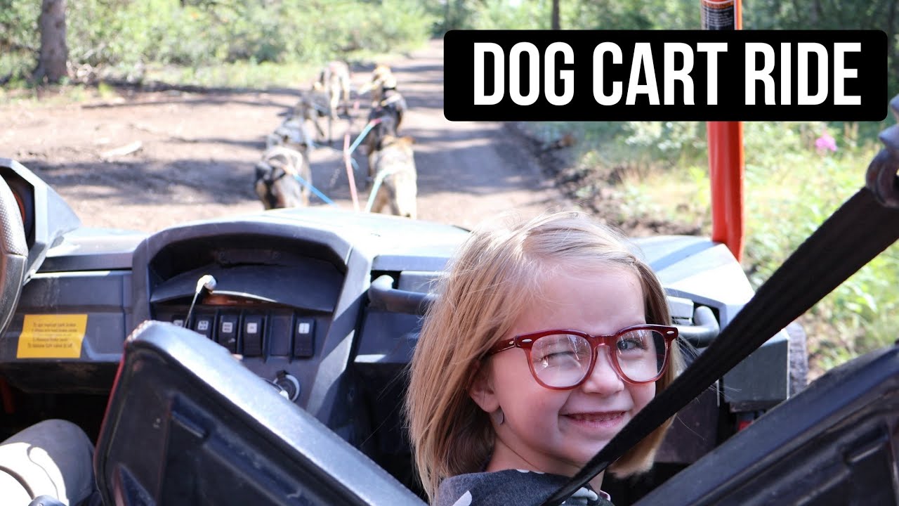 Epic Big Family Adventure in Alaska & the Yukon! - YouTube