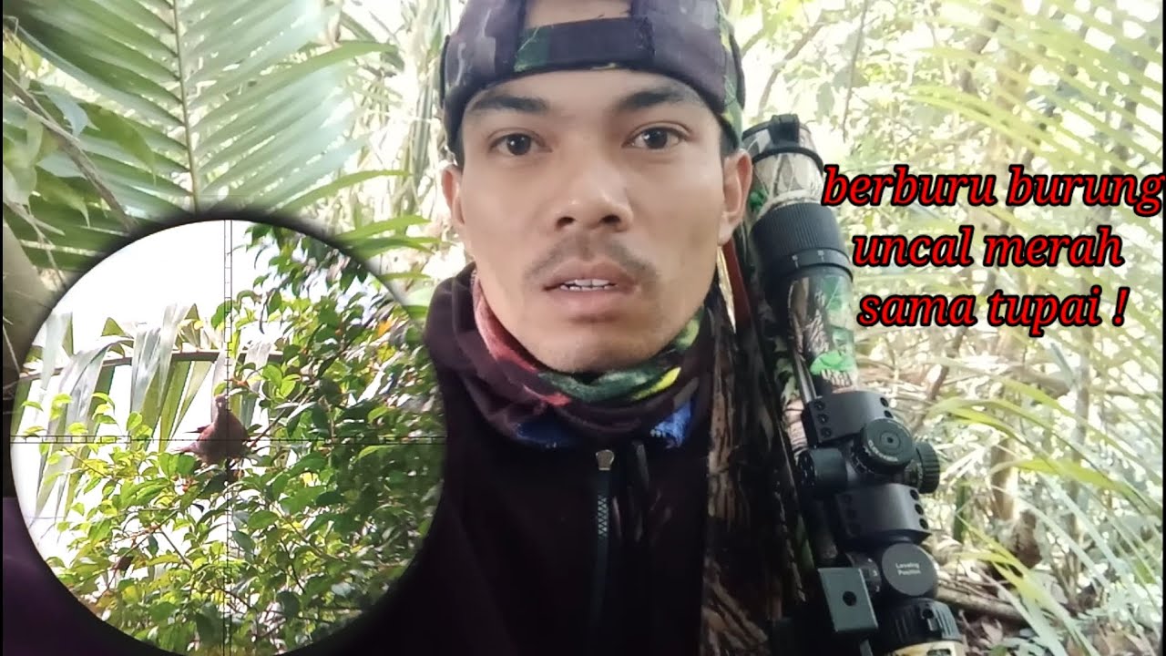 #hunting uncal merah + bajing di lokasi angker !! - YouTube