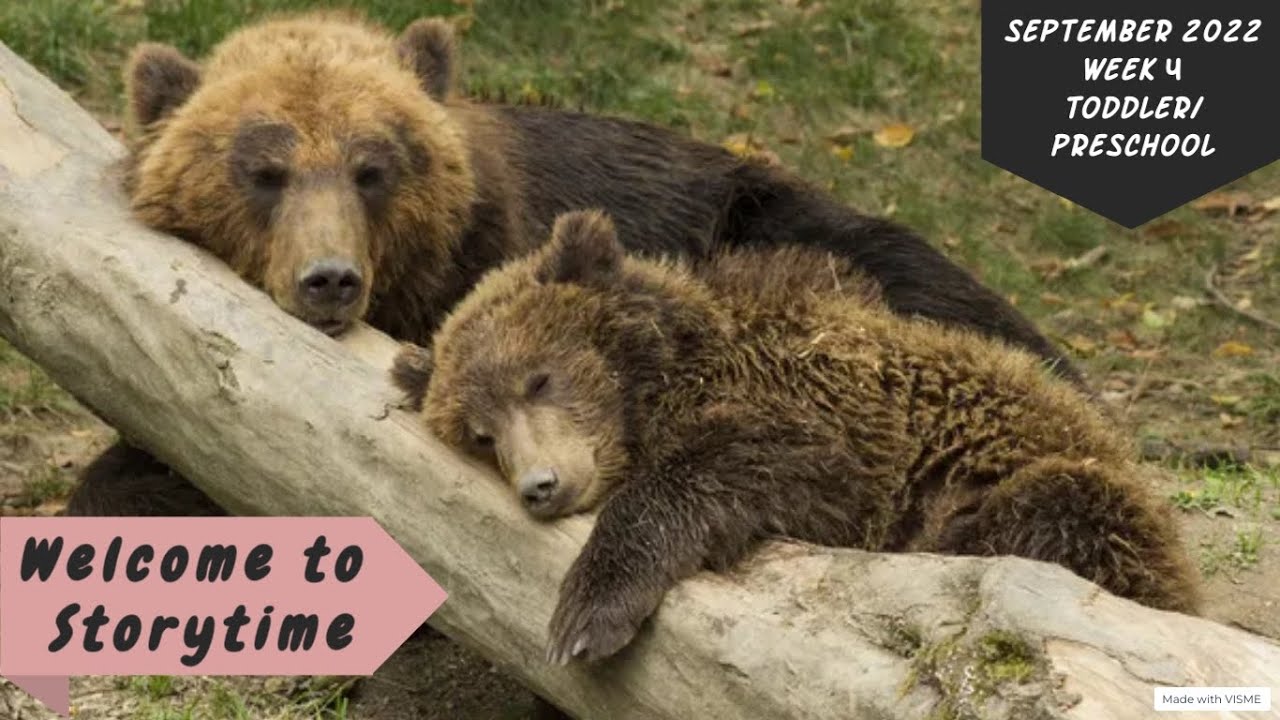 Bears: Storytime at the Library (Toddler/Preschool) - YouTube