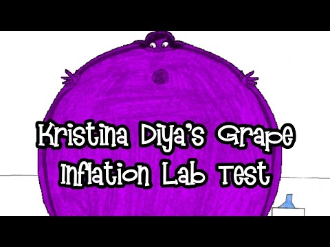 Kristina's Grape Inflation Lab Test Animatic