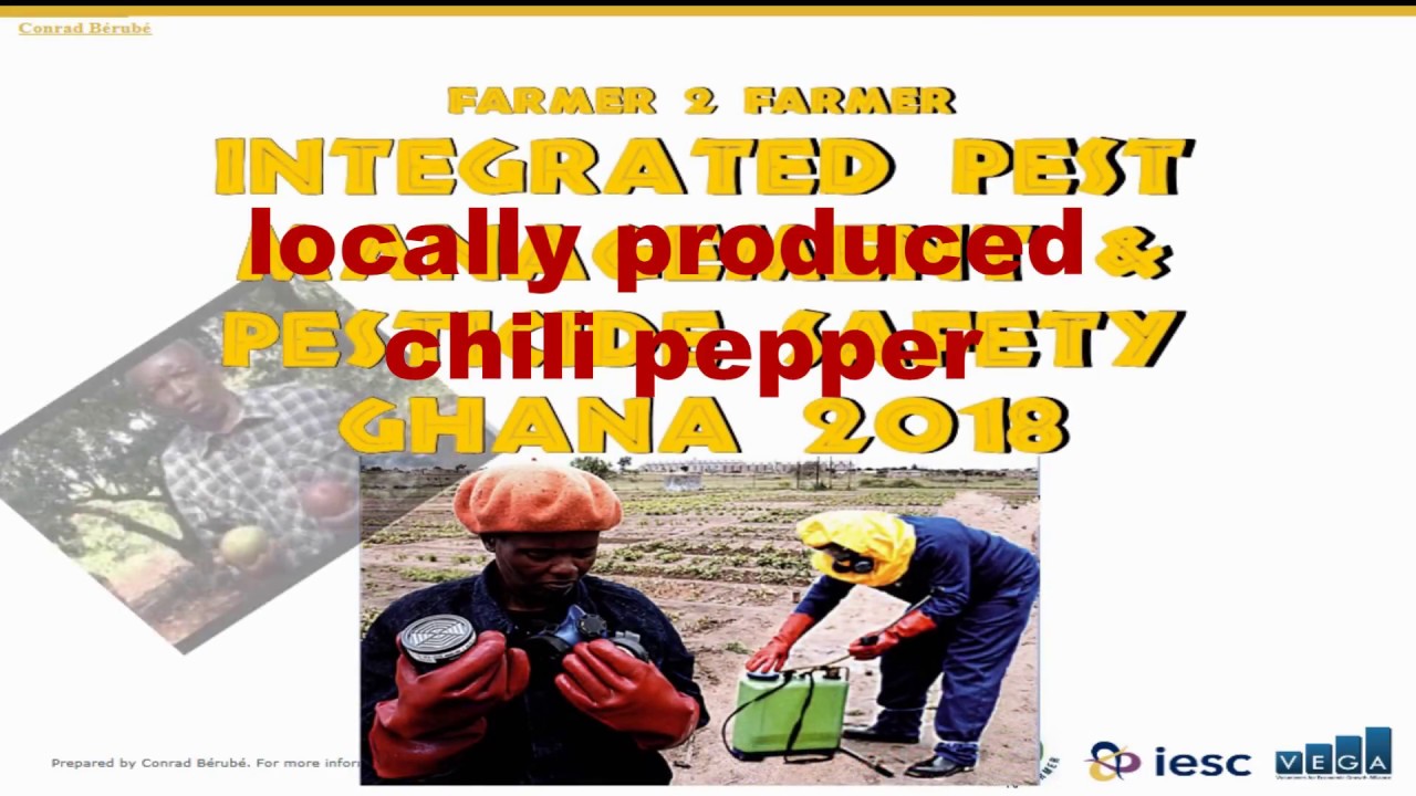 2018 Farmer-to-Farmer: chili powder made in Begoro, Ghana - YouTube
