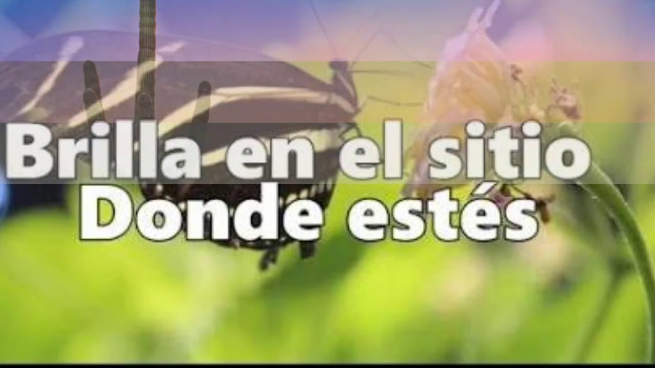 Grupo BETH-CAR(《{|brilla en el sitio - YouTube