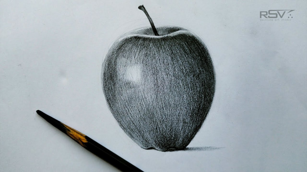 How to draw a apple | pencil drawing | step by step | black and white ...