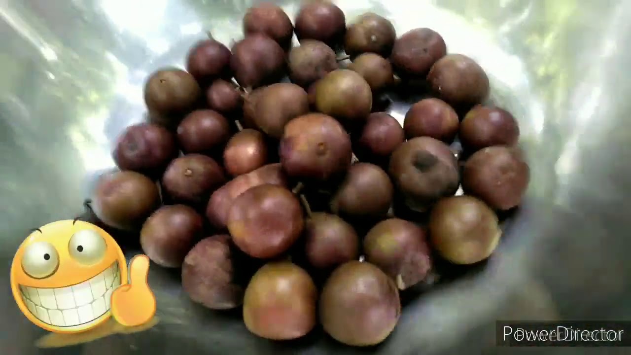 How to eat this Fruit (manzanitas) - YouTube