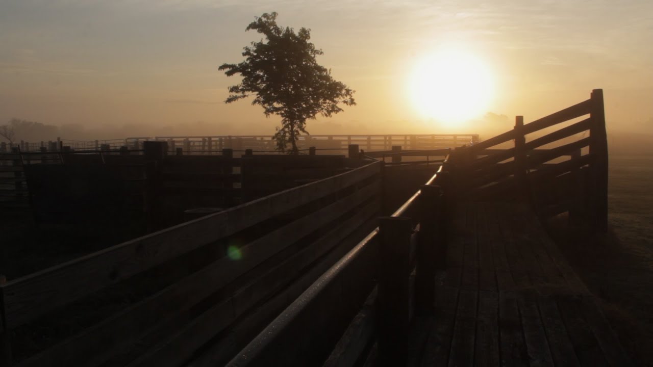 2016 Lone Star Land Steward: Parks Ranch - YouTube