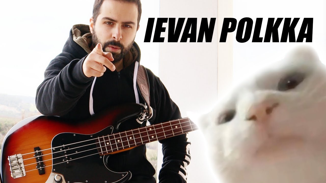 Cat Vibing To "Ievan Polkka" Meme - on BASS 🎸 - YouTube