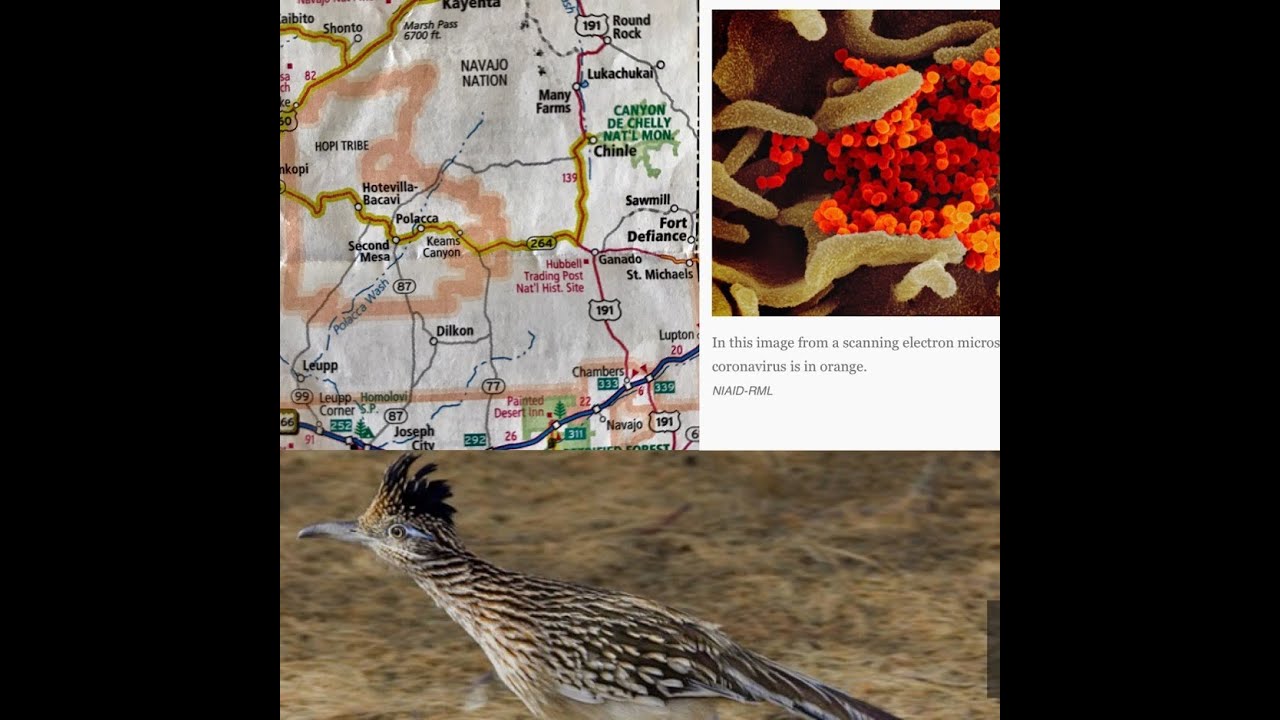 'Shape Of Hope' part three ~ by Gregory Ormson and Randy Anagnostis ...