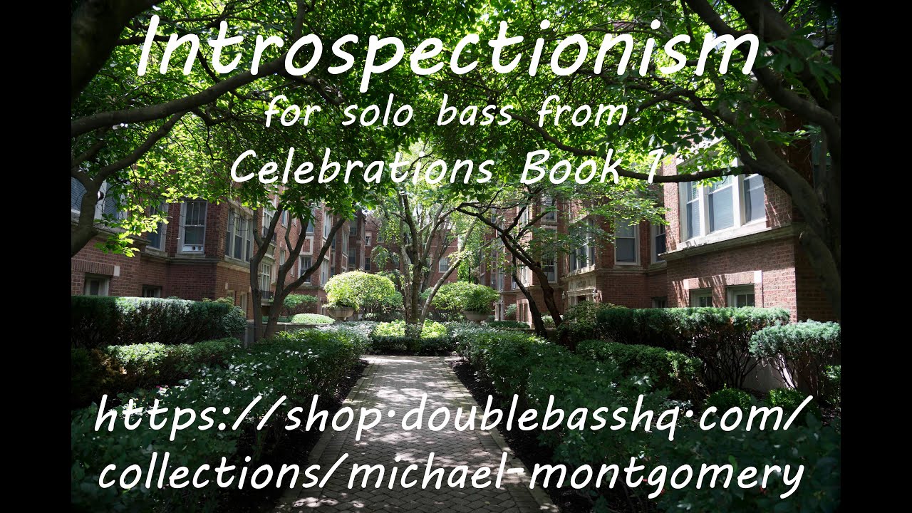 "Introspectionism" for unaccompanied double bass - YouTube