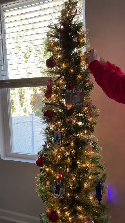 Let’s decorate the tree 🎄 #christmas #merrychristmas #holiday # ...