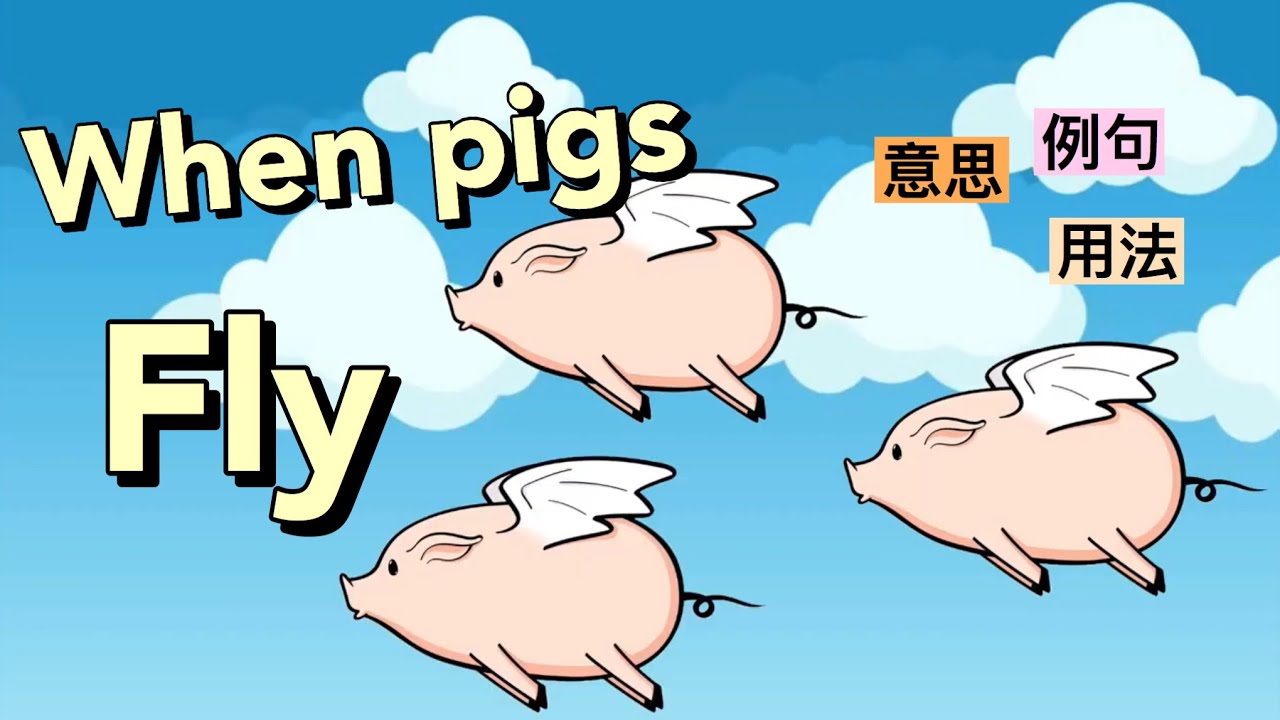 When pigs fly || 意思, 用法, 例子 - YouTube