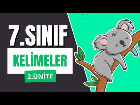 7. Sınıf İngilizce 2. Ünite Kelimeler | Sports