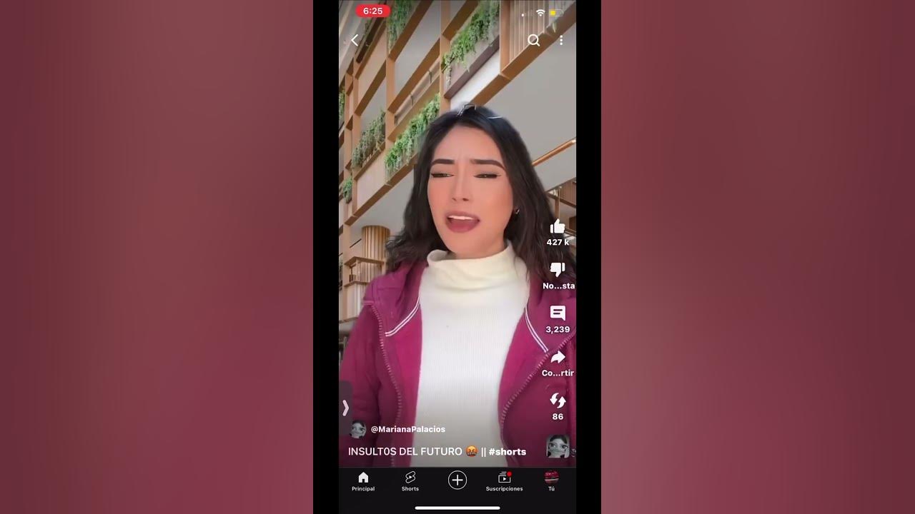 Insultos que usaran en el futuro - YouTube