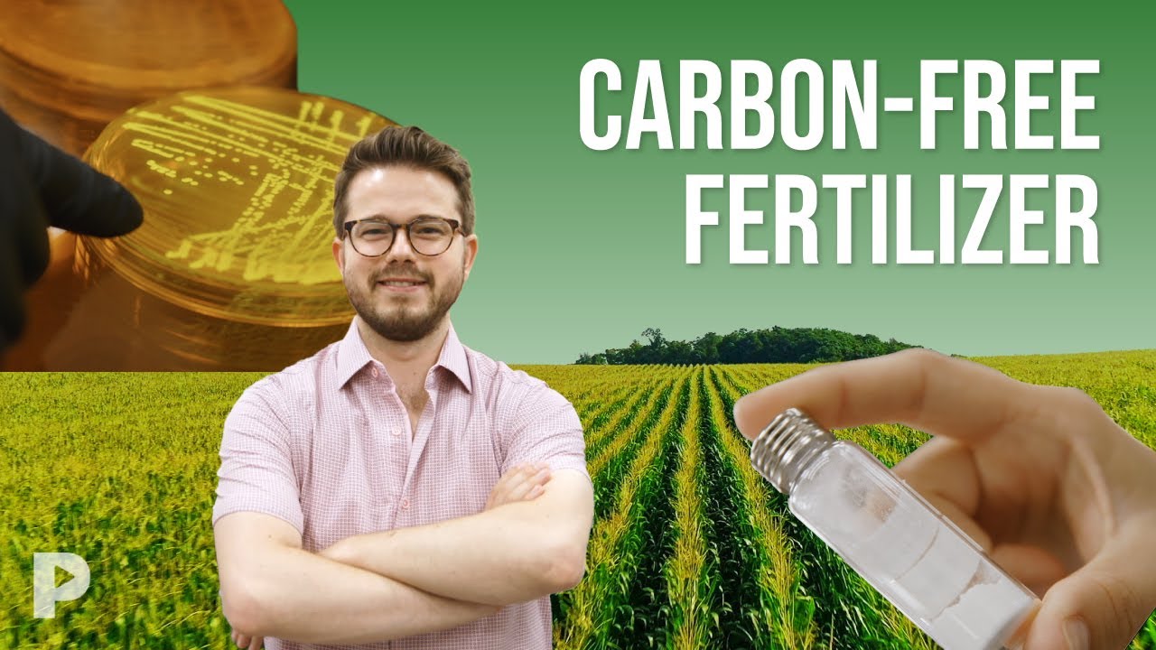 These Microbes Make Carbon- Free Fertilizer | Reinventing Tomorrow ...