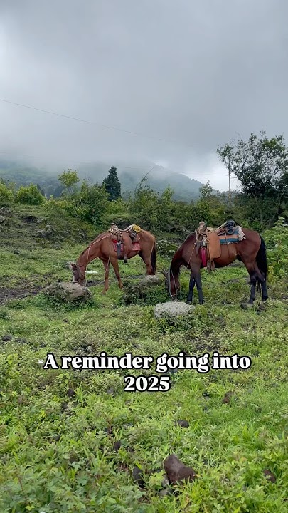 Happy new year, here are some reminders to you and to me going into ...