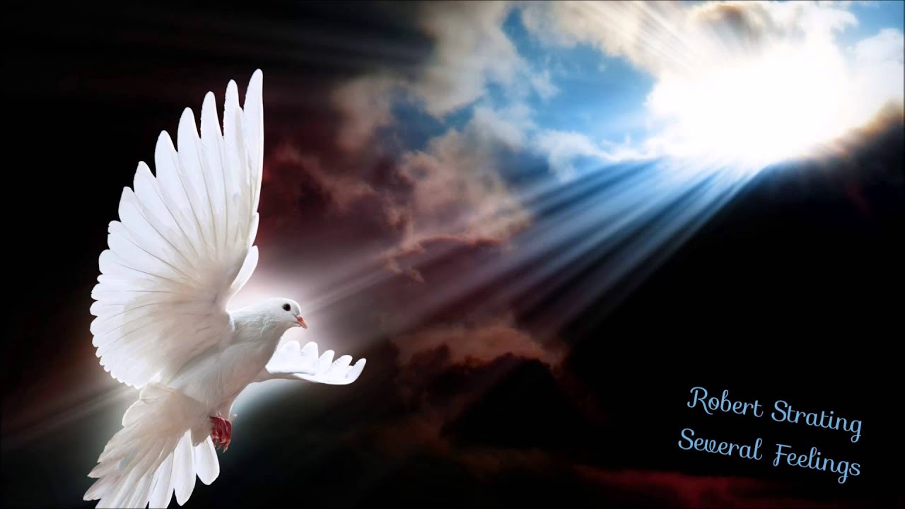 Robert Strating - Several Feelings - YouTube