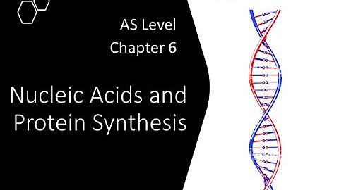 Chapter 6 - Nucleic Acid and Protein Synthesis | Cambridge A-Level 9700 ...