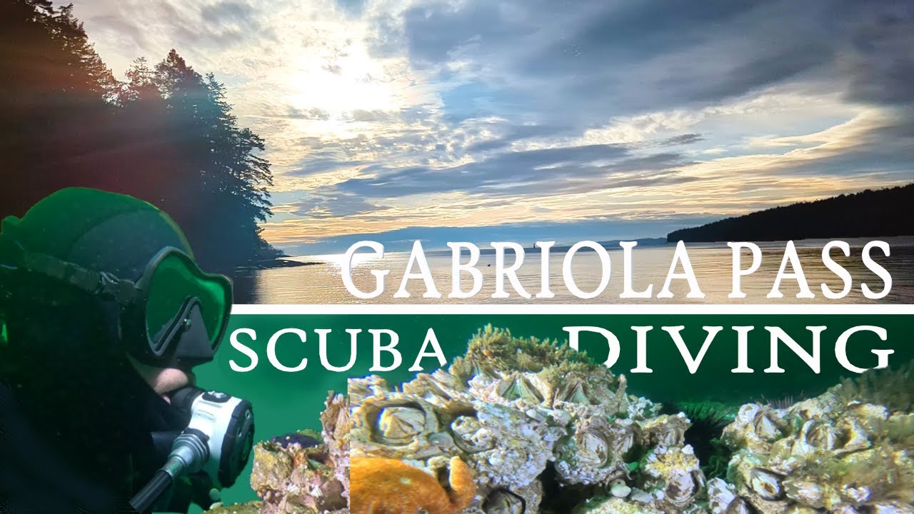 SCUBA Diving Gabriola Pass | Vancouver Island, B.C. Canada - YouTube