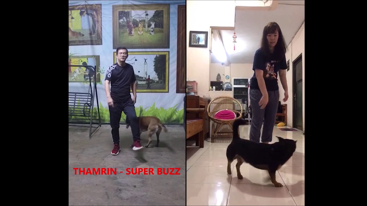 FunSmart DAN TOBY TIK TOK - YouTube