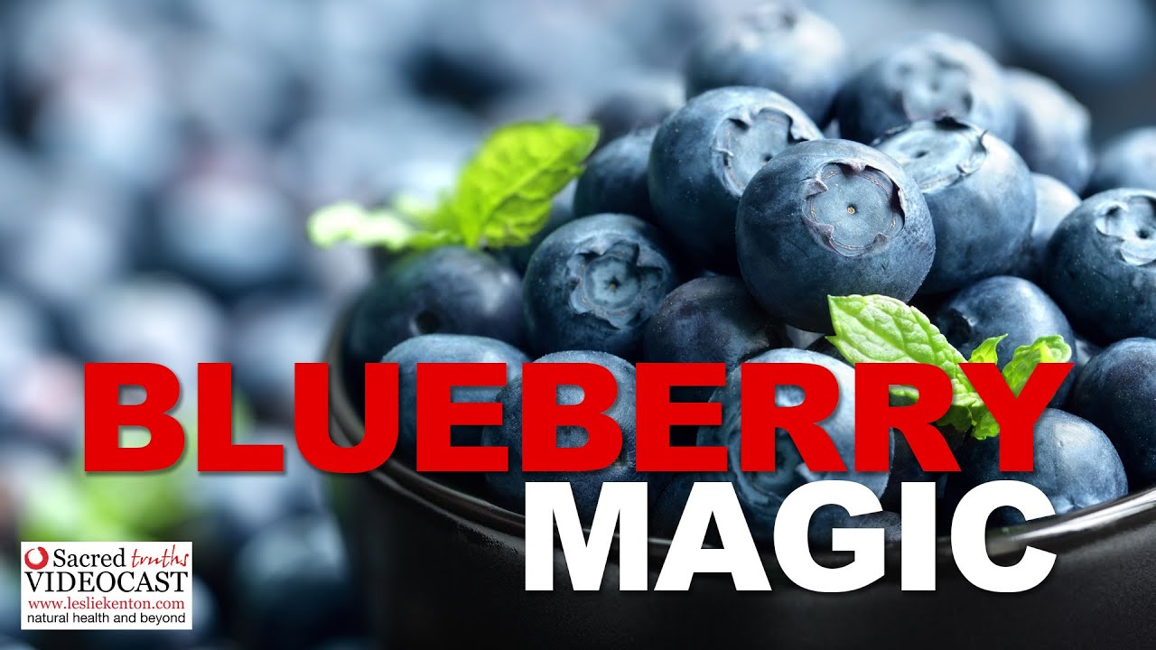 Blueberry Magic - YouTube