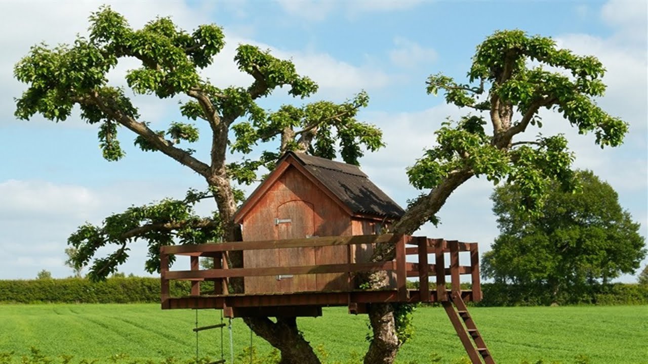 Single mothers build tree houses for their children, creating a parent ...