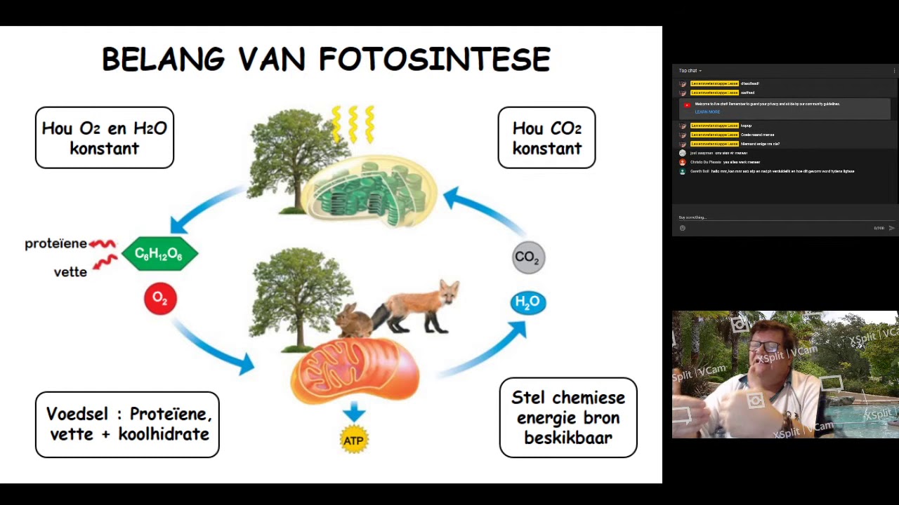 RU1 : Fotosintese - YouTube