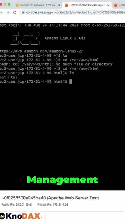 Launch EC2 Instance on AWS - Easy Tutorial! - YouTube