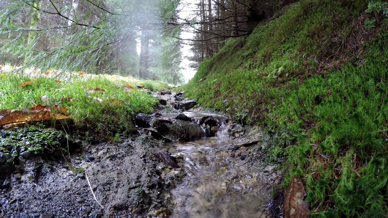 gentle water flow asmr relaxation meditation - YouTube