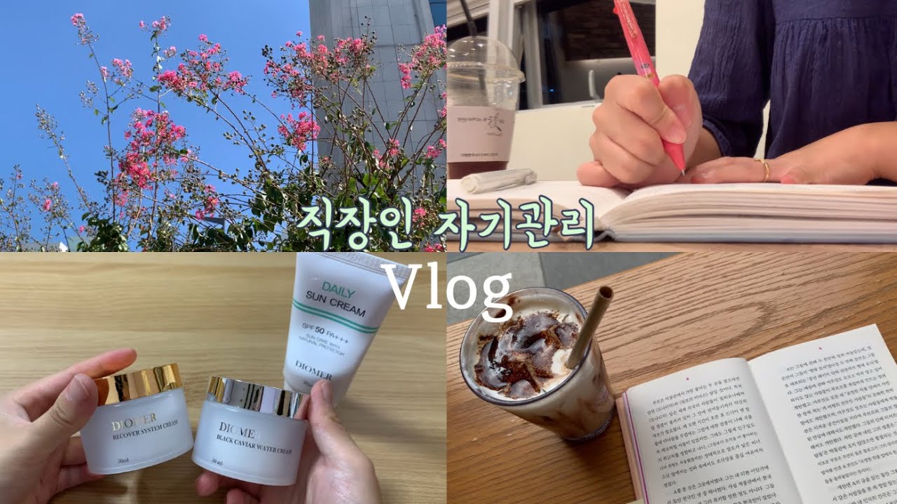 Vlog회사다니면서 자기관리🔥 직장인 브이로그 출근퇴근공부 쳇바퀴같은 일상👏🏻 감정일기쓰기 디오메르 직장인브이로그