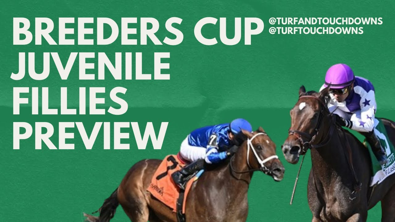 Breeders' Cup Juvenile Fillies | Alcibiades winner Immersive heads the ...