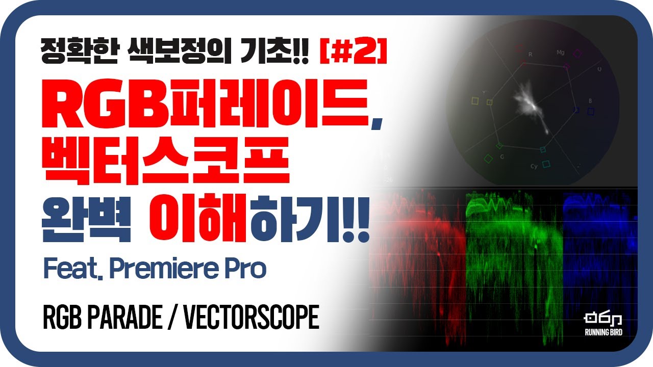RGB 퍼레이드(RGB Parade)와 벡터스코프(Vectorscope) 보는 법! 정확한 색보정을 위한 기초, 2번째 ...