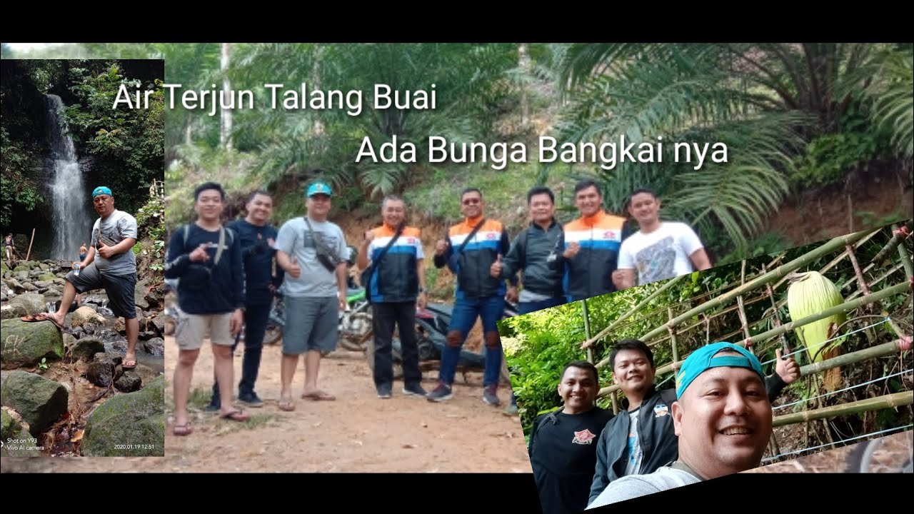 Air Terjun Desa Talang Buai || Bunga Bangkai || BBC Chapter Mukomuko ...