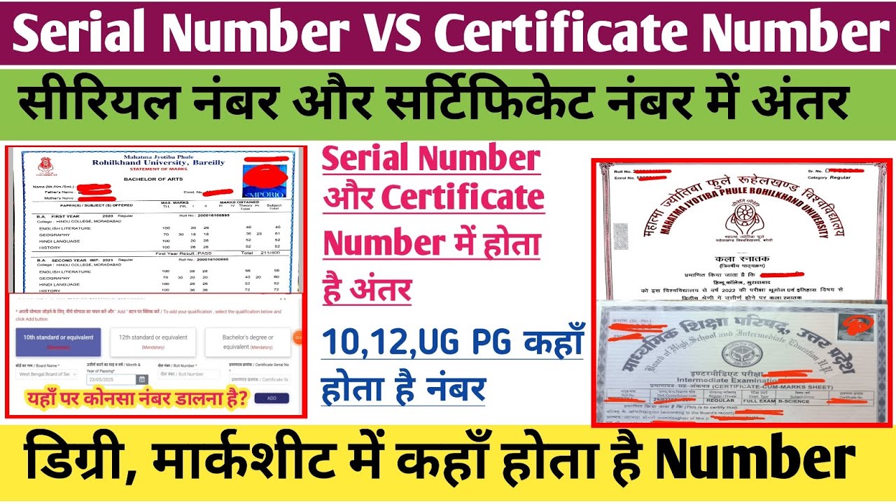 Certificate number aur serial number mein kya Antar hai | certificate ...
