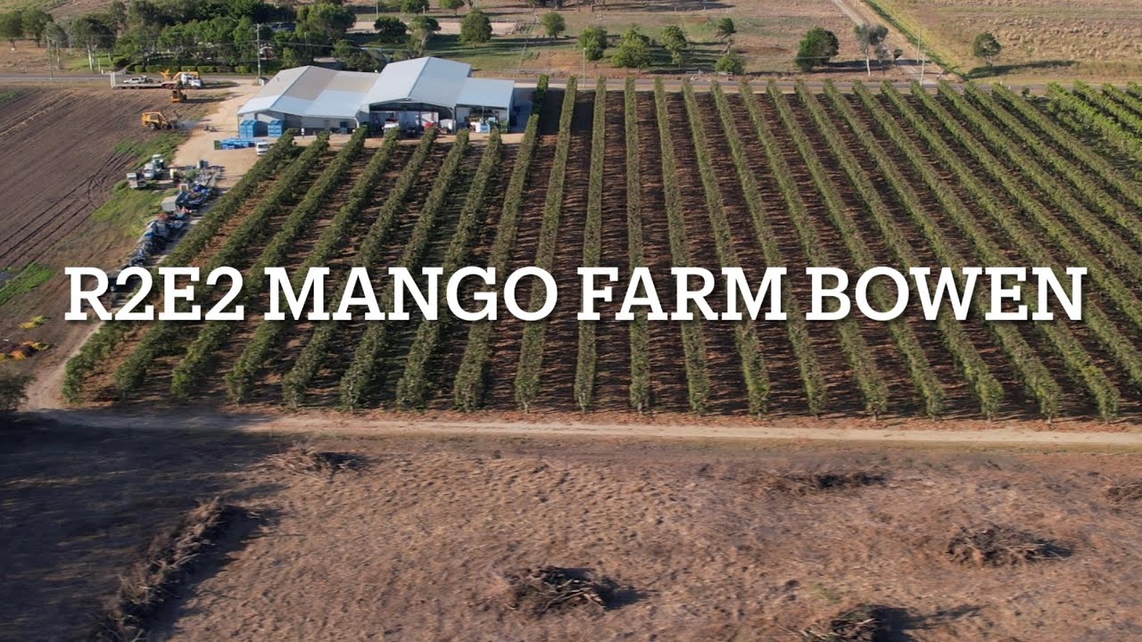 R2E2 Mango farm Bowen Far North Queensland @tonyzuff5767 - YouTube