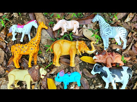 Menemukan Badak Mainan Zebra Triceratops Jerapah Babi Gajah Kuda Sapi Singa