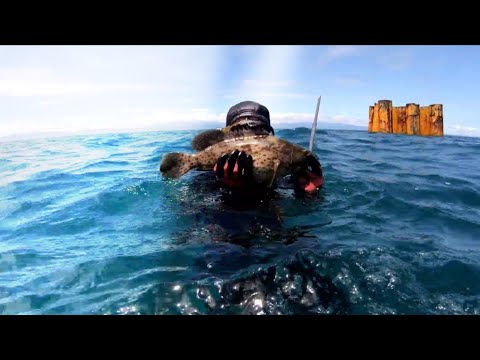 Deep Sea Hunting | Grouper + Trevally - YouTube