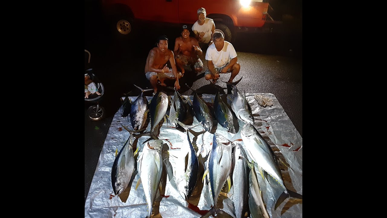 Vampire fishing. 2 x 48qt cooler opelu - YouTube