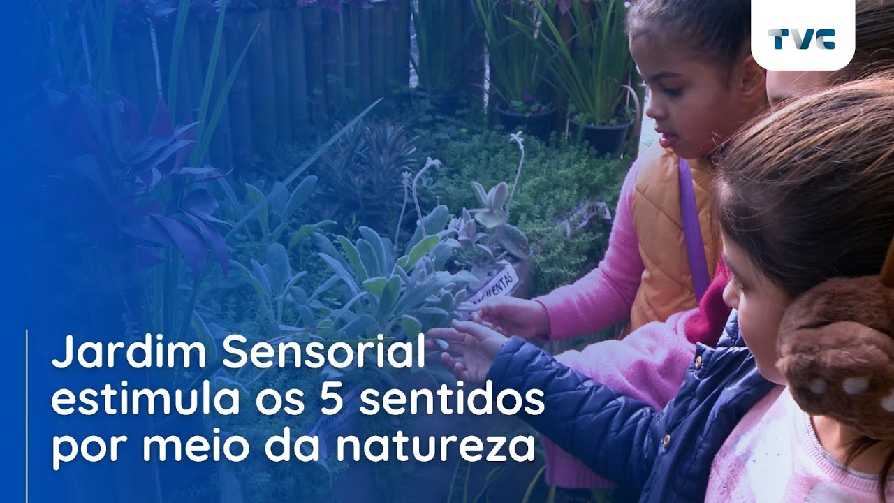 Jardim Sensorial estimula os 5 sentidos por meio da natureza - YouTube