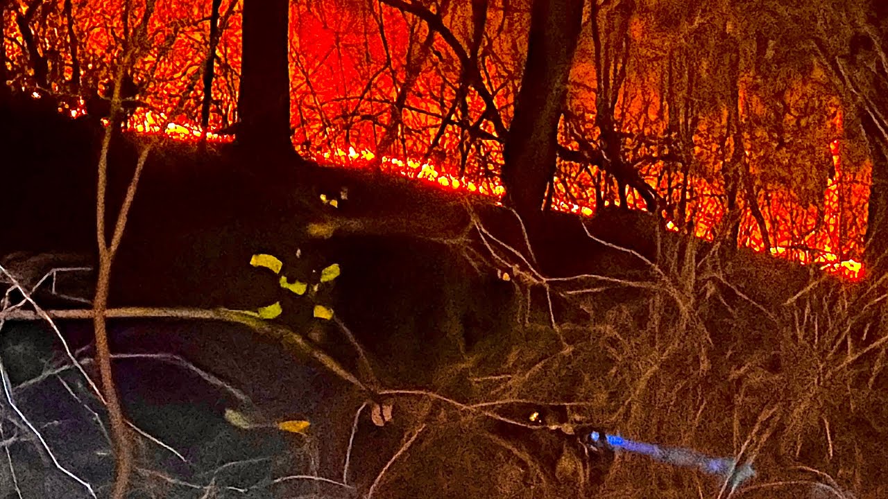 FDNY BOX 1715 ~ FDNY BATTLING A DIFFICULT TO REACH BRUSH FIRE IN ...