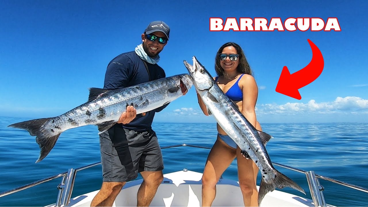 Catching GIANT Barracudas | SouthWest Florida Offshore Fishing - YouTube