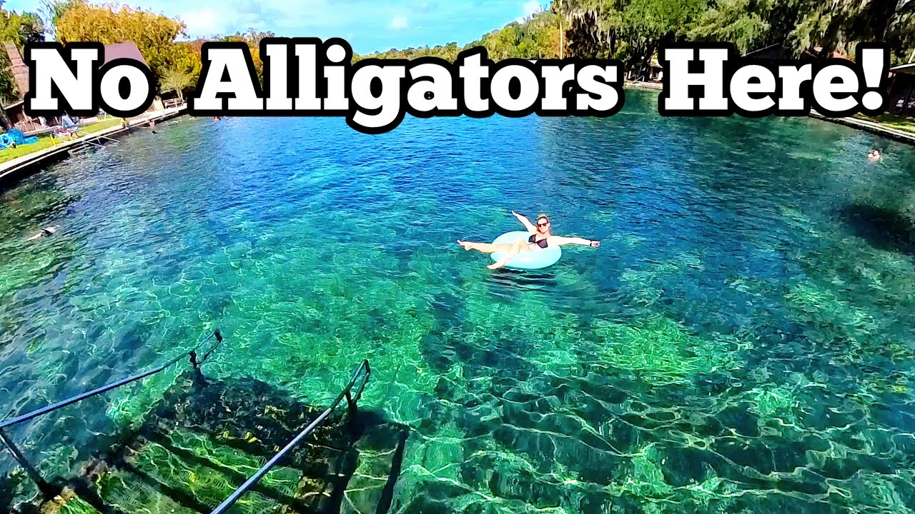 De Lion Springs | A Florida Spring WITHOUT Alligators 🐊 - YouTube