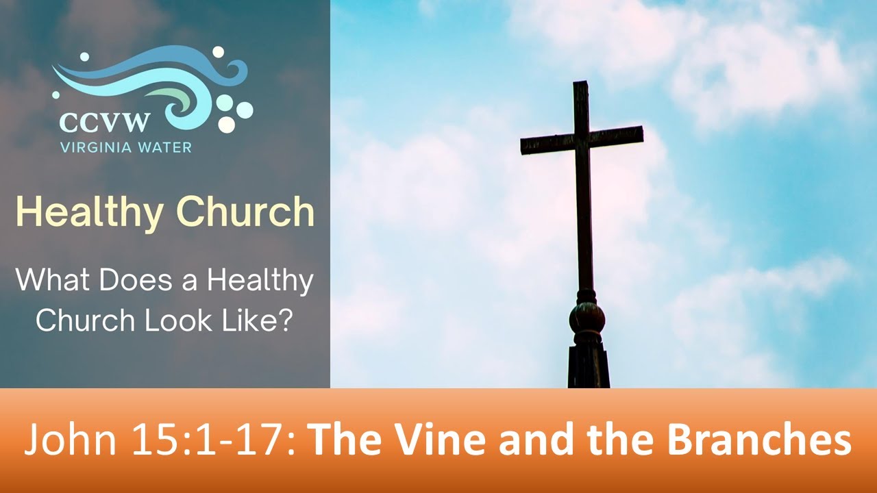 John 15 1 17 The Vine And The Branches YouTube