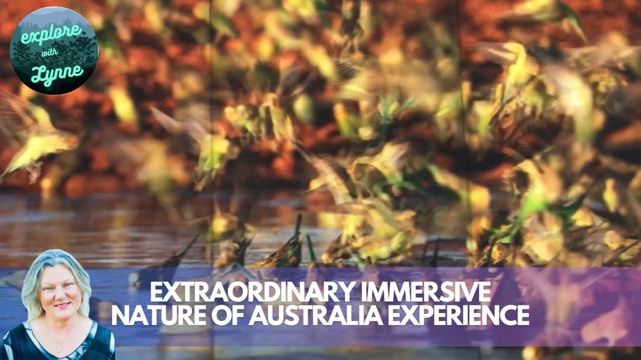 The Wonders of Nature in Australia - Landscape and Wildlife Immersive ...