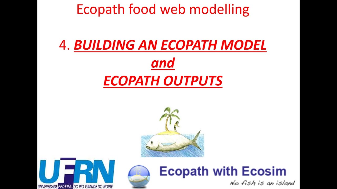 Aula4 Ecopath - Construindo o modelo Ecopath e interpretando seus resultados - YouTube