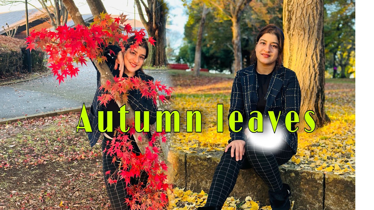 Autumn leaves In Japan// もみじ🍁॥ Momiji Season॥ - YouTube