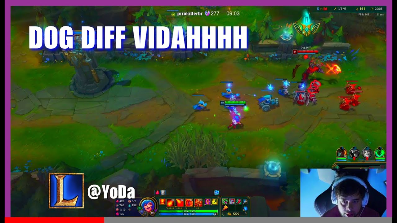 DOG DIFF VIDAHHHH | #ARAUTOCLIPS | #1485 | #YODA - YouTube