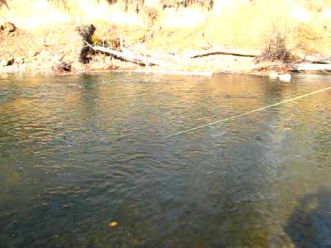 Yuri lands a steelhead fly fishing on the Chagrin River. - YouTube