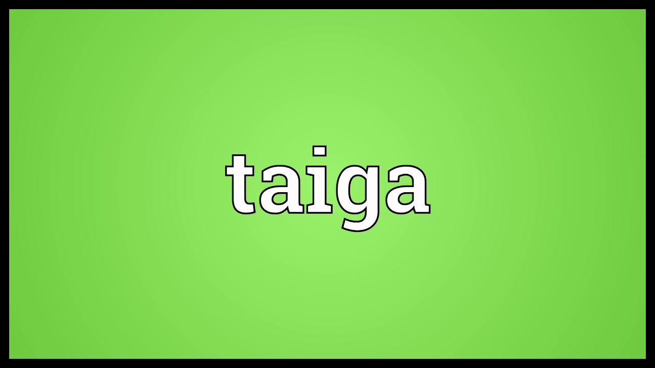 Taiga Meaning | Wordogram - YouTube
