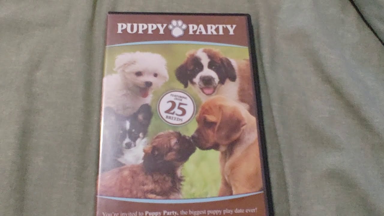 PUPPY PARTY DVD Overview! - YouTube