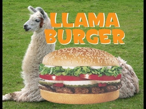 "GRUBB'IN WITH MADNESS" Llama Burger - YouTube